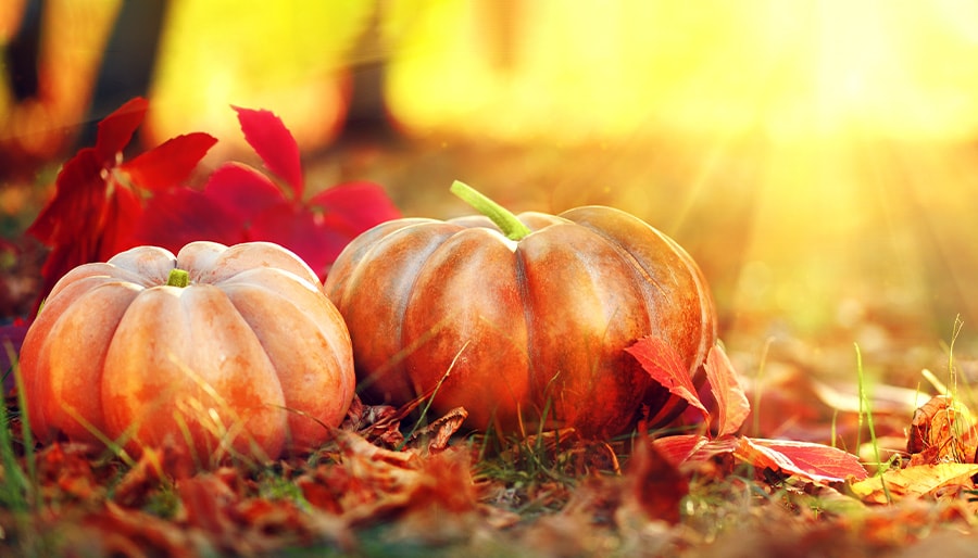 8 Awesome Destinations Which Are Ideal for an October Getaway