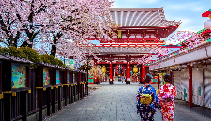 A Day in Tokyo