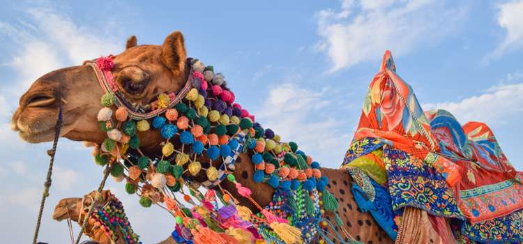 Complete Guide to Long Weekend Getaways in 2021 in India