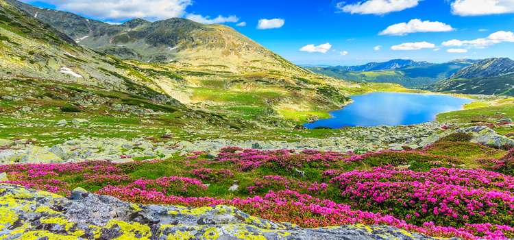 Complete Guide to Long Weekend Getaways in 2021 in India