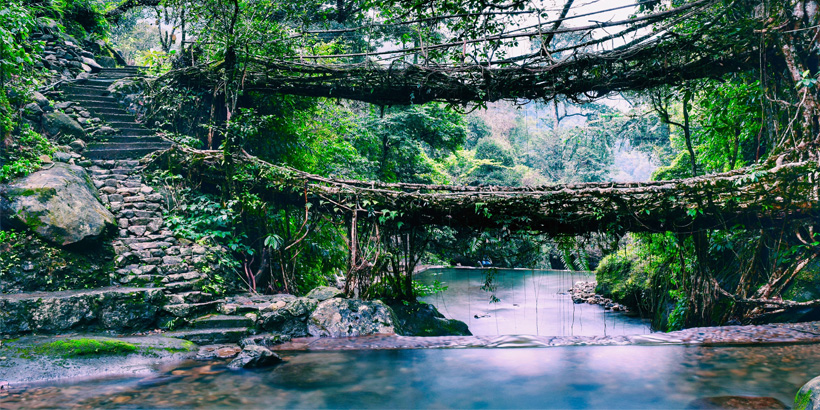 Best Travel Tips for Visiting Meghalaya